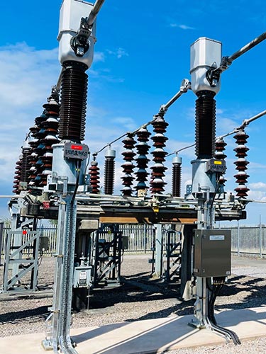 Case Studies | Delton Power